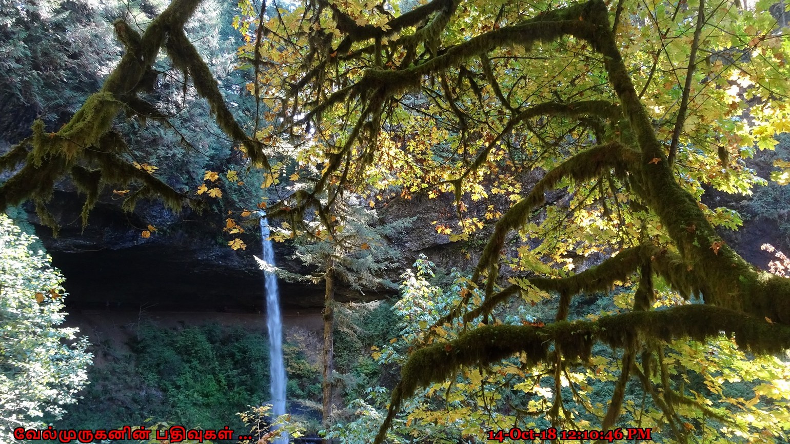 Silver Falls State Park Oregon - Exploring My Life