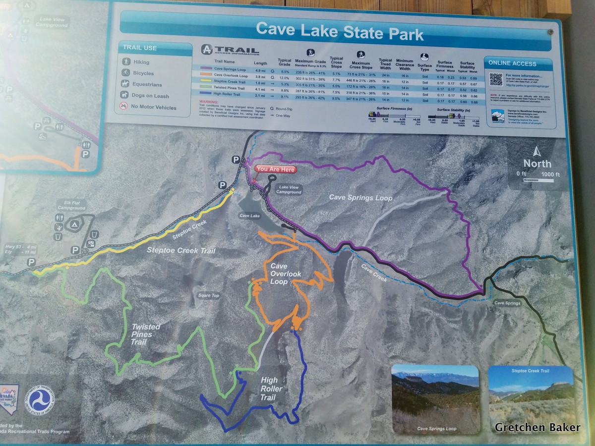 Desert Survivor: Terrific Trails at Cave Lake State Park
