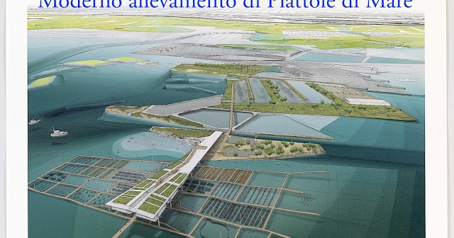 Sussurri delle cube: Piattole virtuali, nuova frontiera