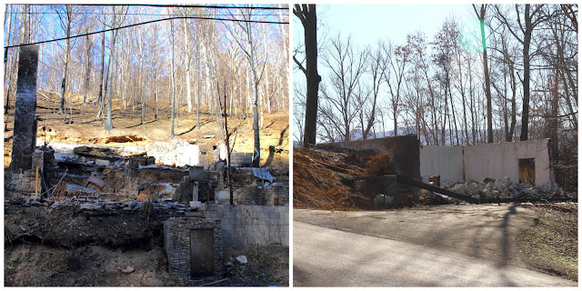 To Behold the Beauty: The Smokies After the Fire