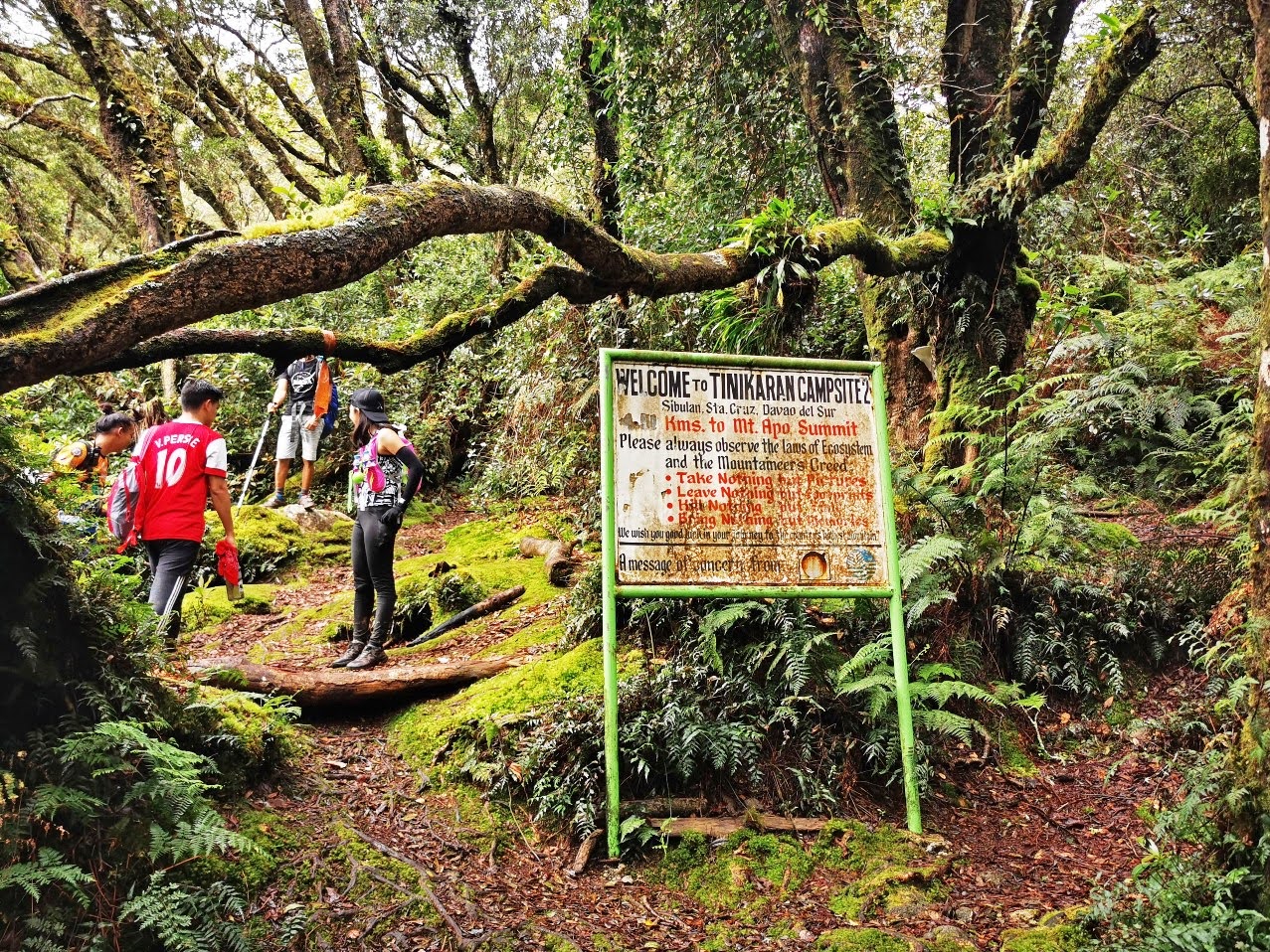 the viewing deck: Mt. Apo (2,954masl) Day-Hike (Sibulan Trail)
