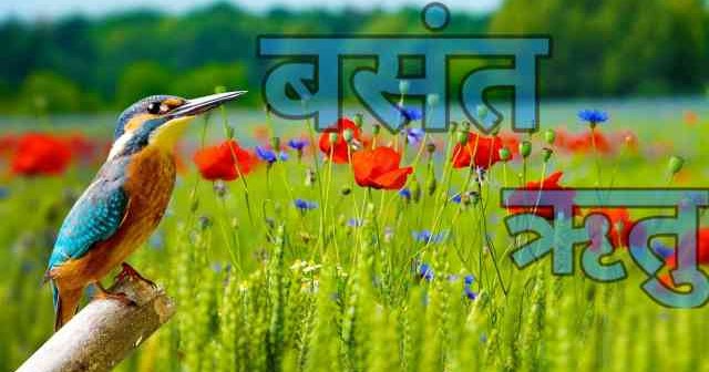 वसंत ऋतु वर मराठी निबंध | Spring season essay in Marathi.