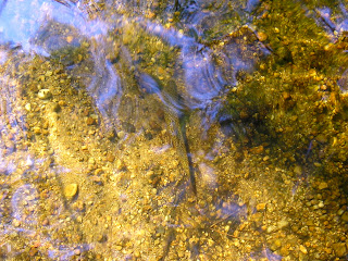 Atlantic Salmon Flies: Ausable Wulff and Bomber: Enlarged Trout Flies ...