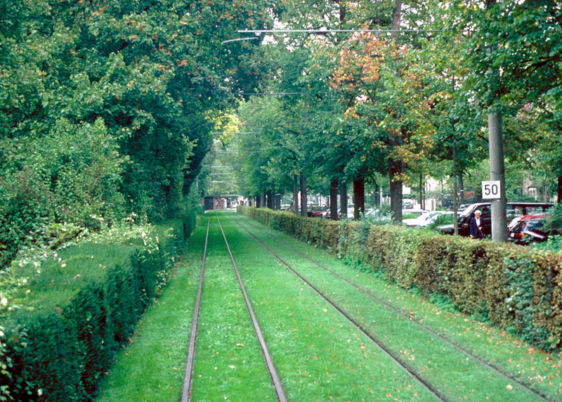 The Beutifull Grass Covered Tram Tracks in Europe | The Evolution Blog