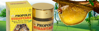 propolis-nusantara.png