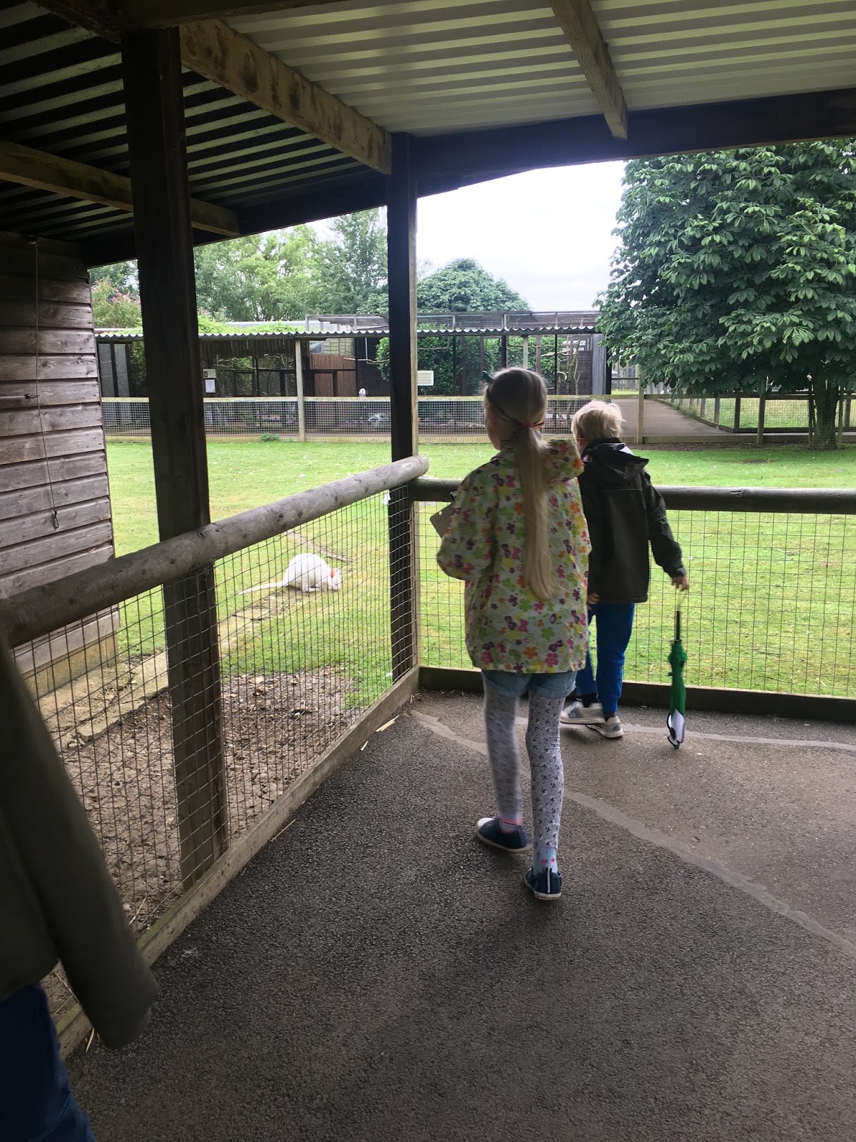 Hamerton Zoo Park #review