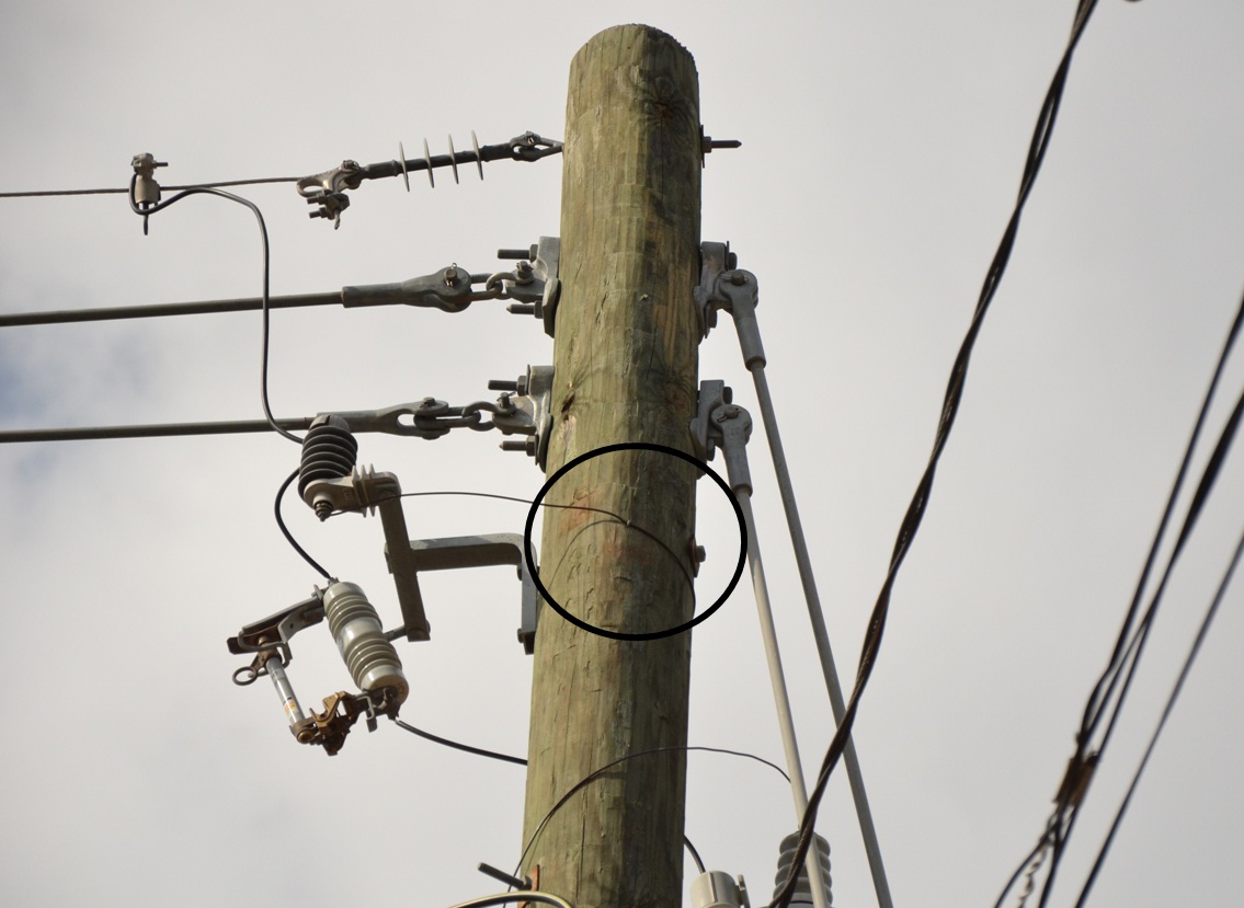 W4UOA: Power Pole Arcing