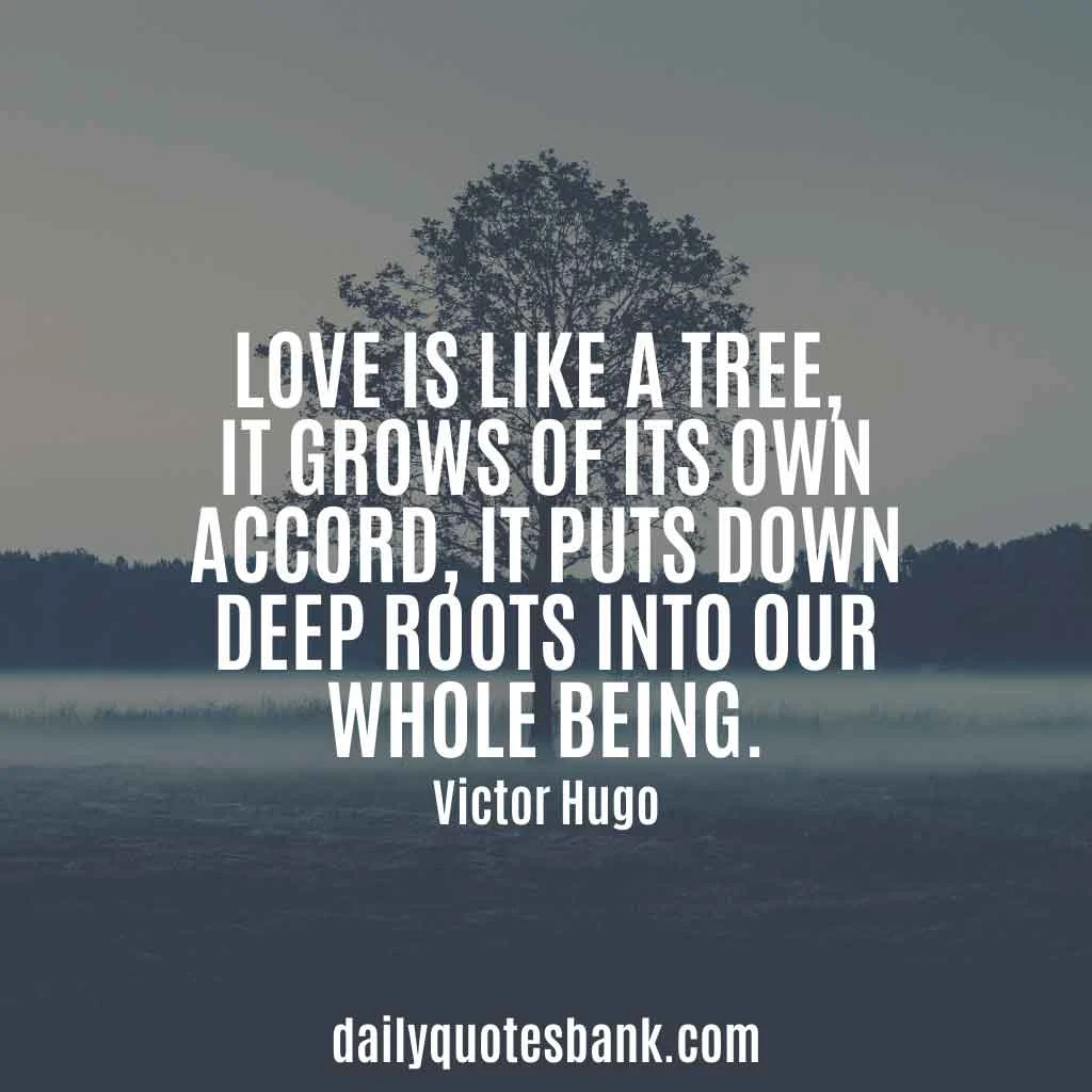 100 Inspirational Quotes About Planting Trees For Future Generations
