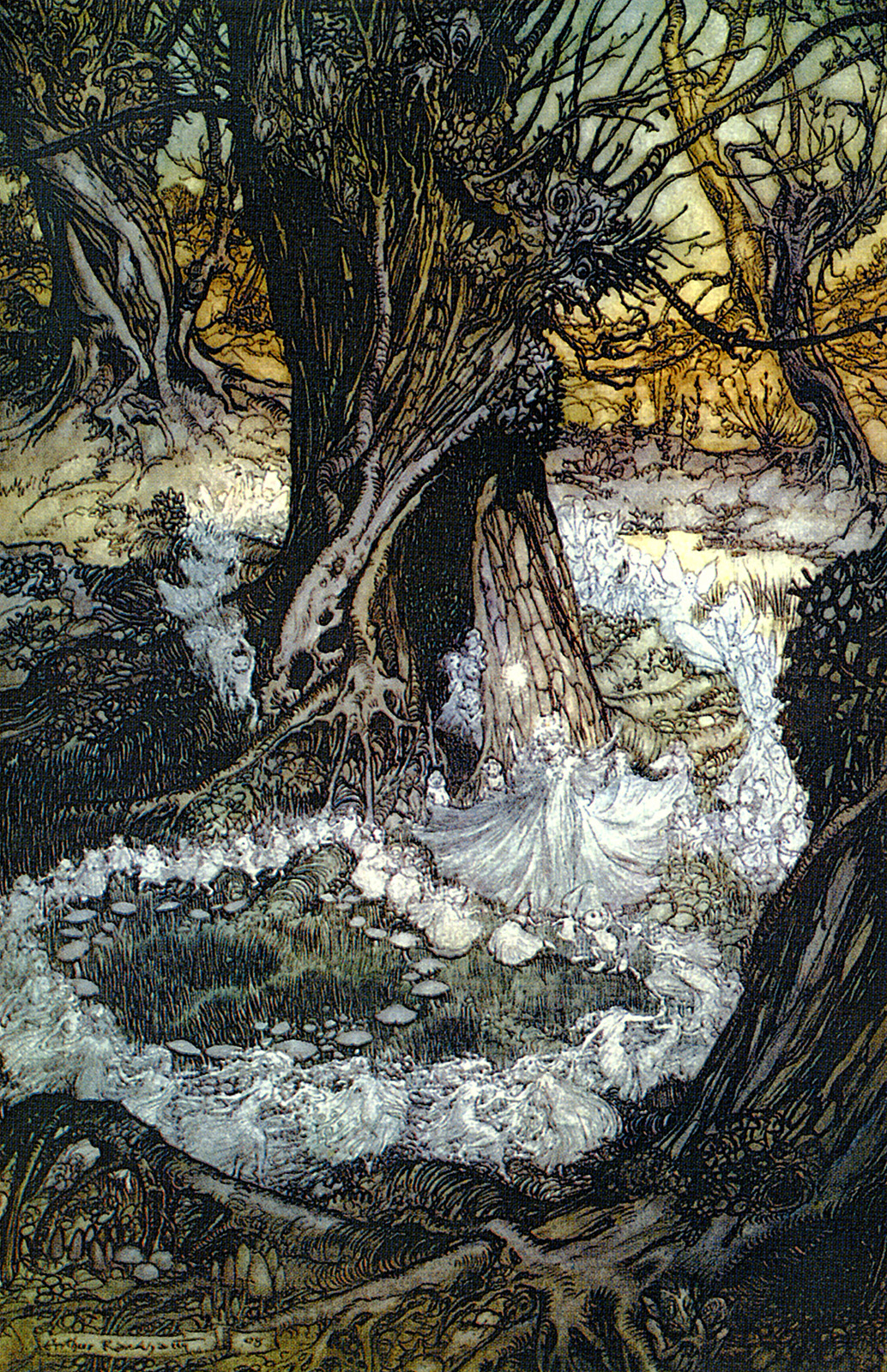 Arthur Rackham (With images) | Arthur rackham, Midsummer nights dream ...
