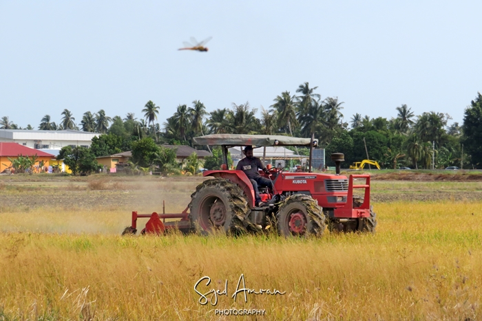 Agar Aku Tidak Lupa: SEKINCHAN & KUALA SELANGOR - PART 05 - PADI BOX