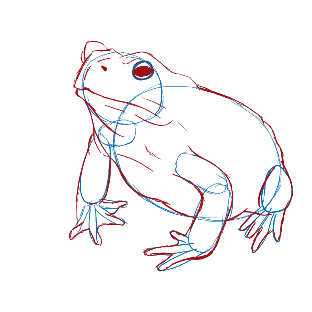 El mundo de Pinguos: ¿Cómo dibujar un sapo?