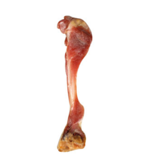 La carne que llega para los niños es una piltrafa - Defensoria del ...