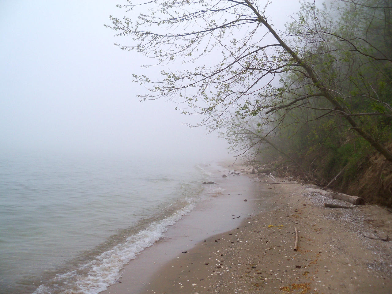 A View from the Beach: Foggy at the Beach