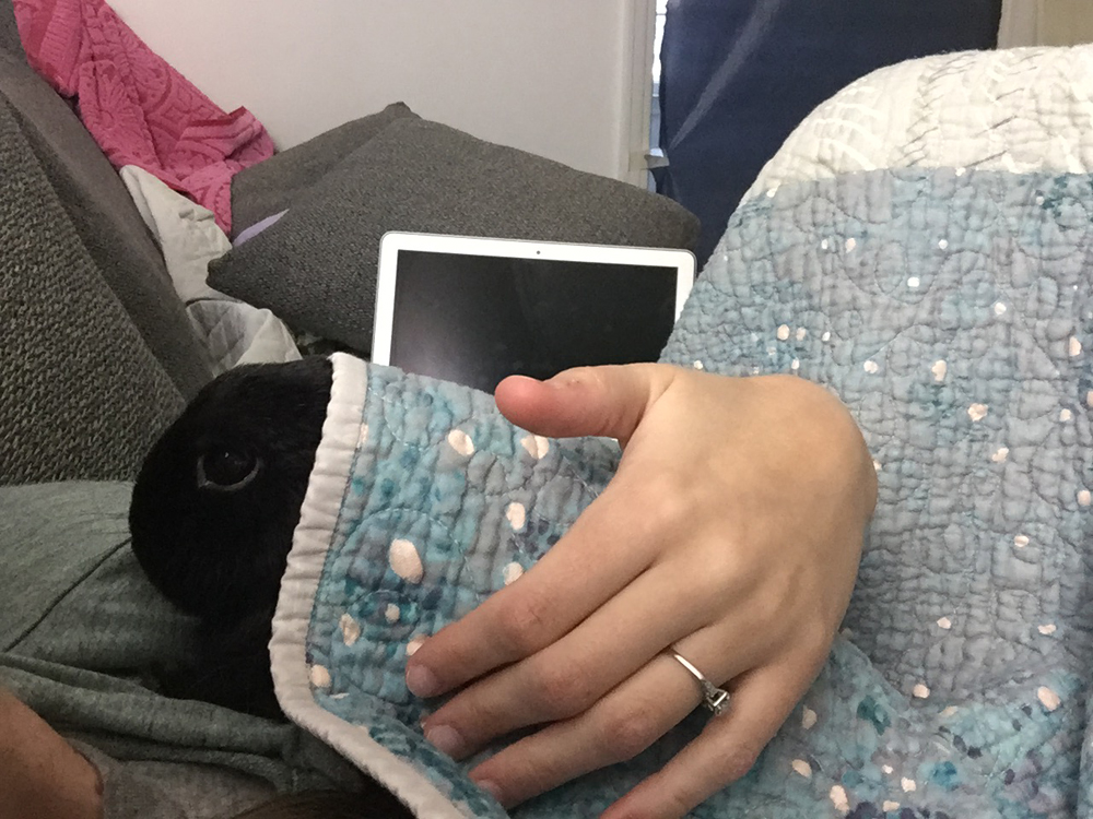 In Color Order: December Monthly Report