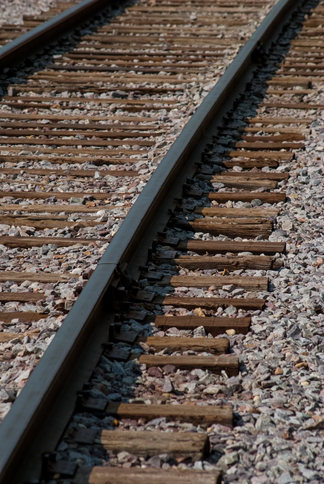 Lake Railroad Tracks