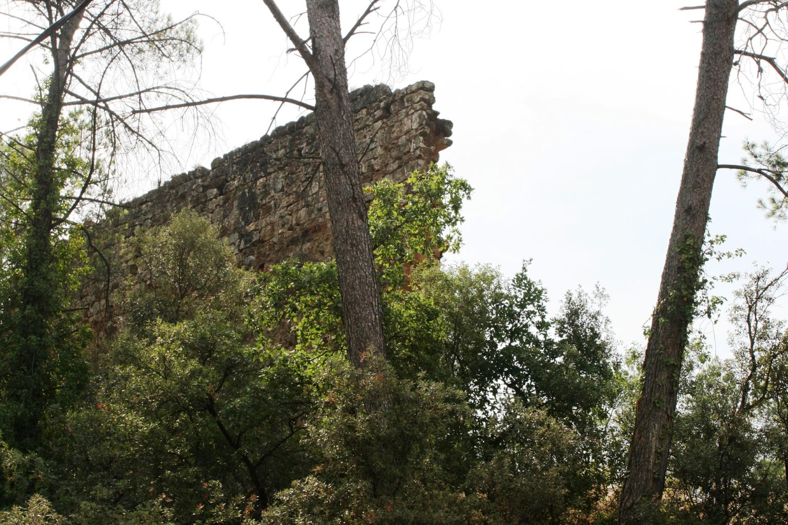 AVVCELM: RECULLS DE LA HISTORIA DE VALLDOREIX