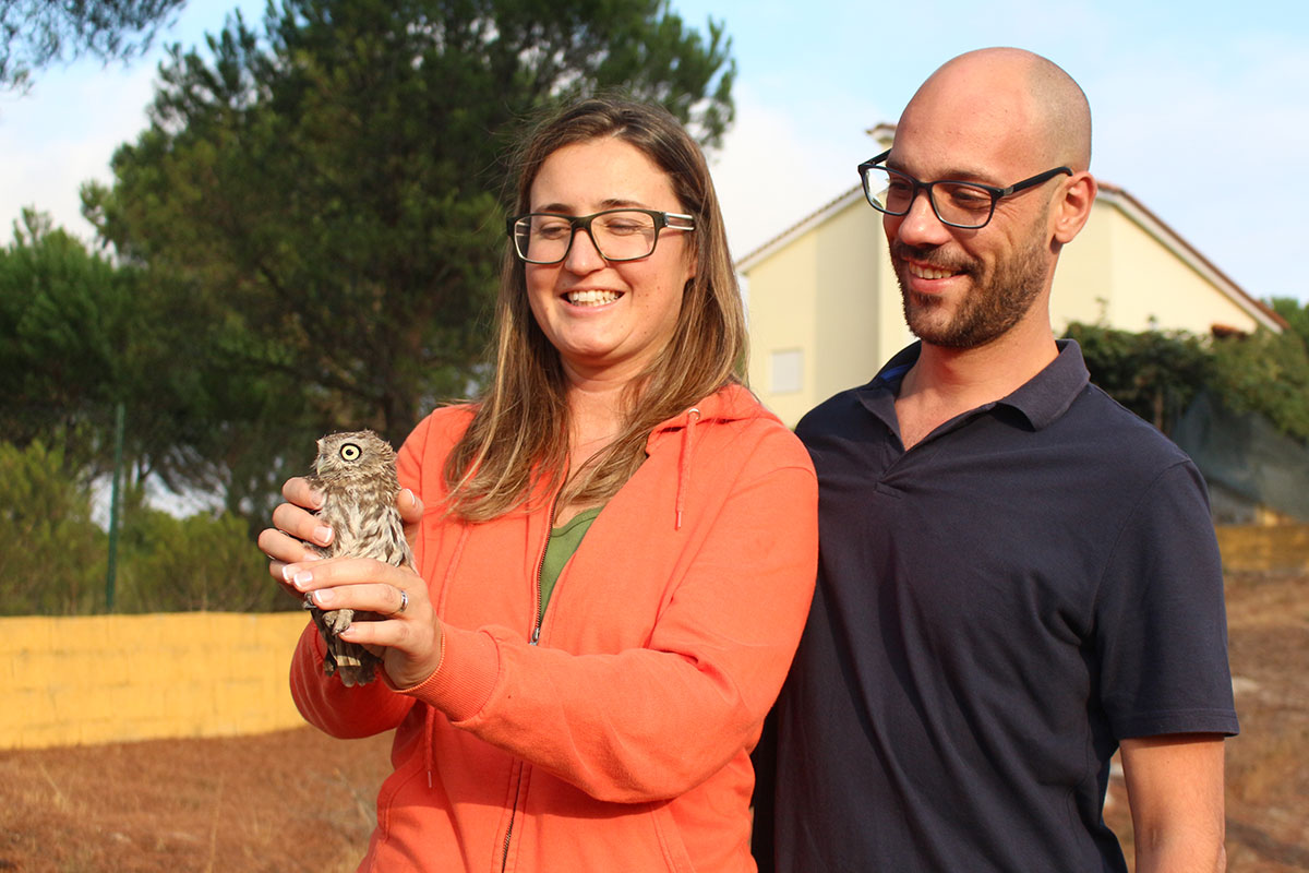 Devolução à Natureza de 2 mochos-galegos em Seia