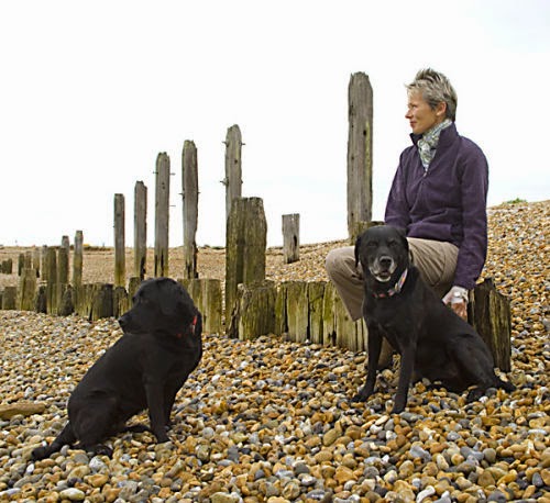 365 дней с арт-текстилем: Пейзажи Heather Collins