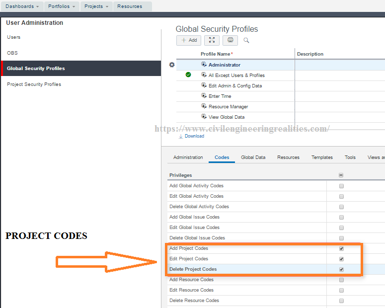 PRIMAVERA -How to assign project codes/values, resource and activity codes?