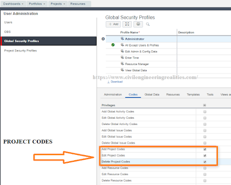 PRIMAVERA -How to assign project codes/values, resource and activity codes?