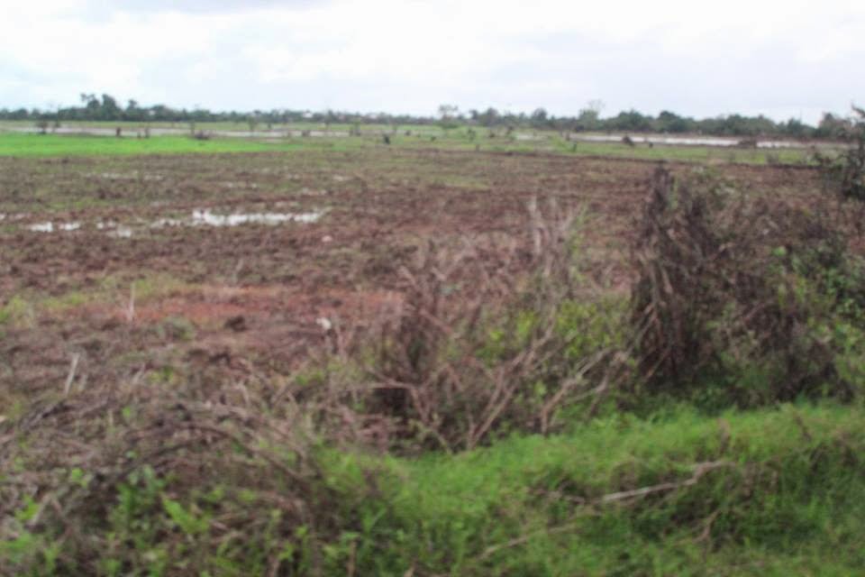 A Teacher...A Leader!