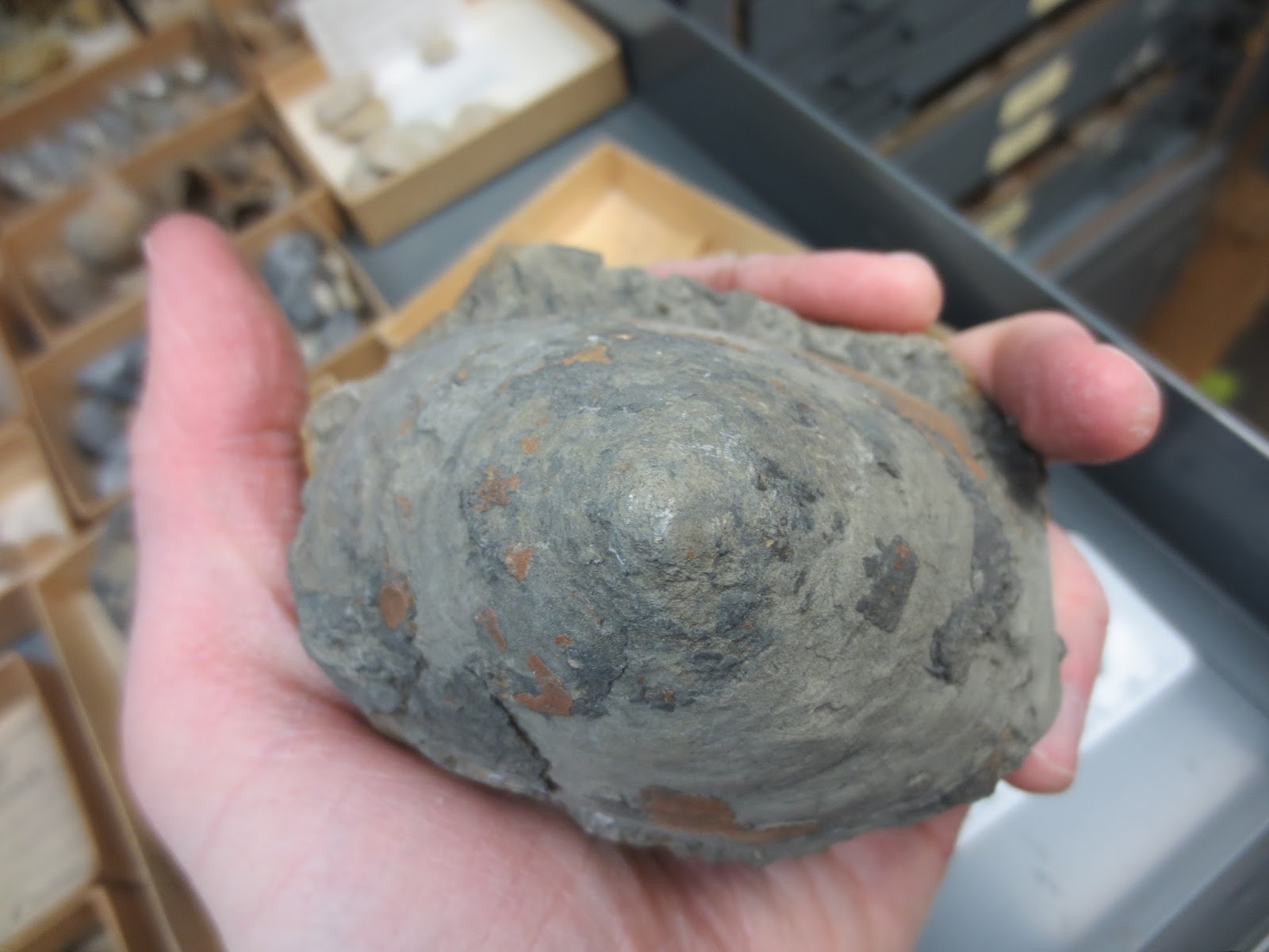 Equatorial Minnesota: Follow-up: Pipestone National Monument, Scenella ...