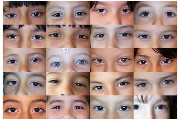 VIDYA'S PHOENIX: PSYCHOLOGY OF TEACHING AND LEARNING :: INDIVIDUAL ...