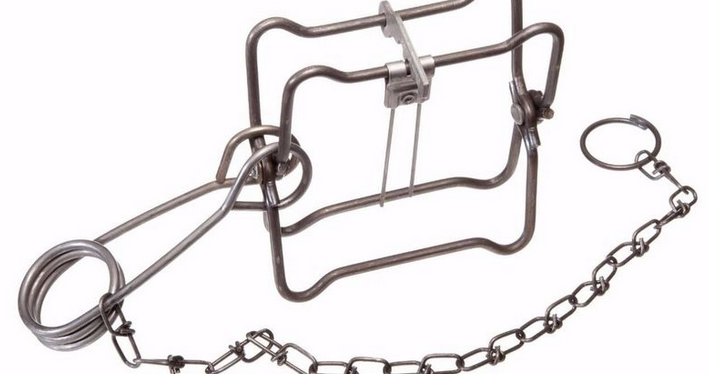 Fieldcraft, Survival, and Security: The 110 Conibear Trap