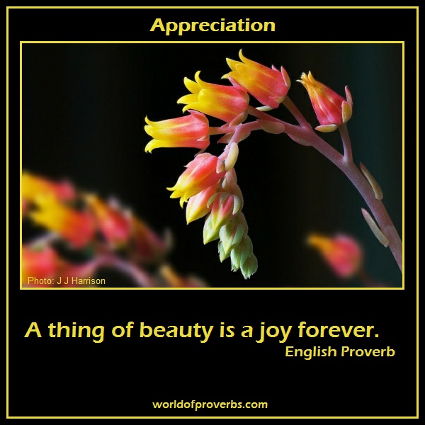 Photo by JJ Harrison (jjharrison89@facebook.com) (Own work)