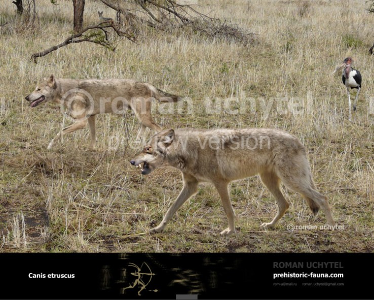 Escenarios prehistóricos: Canis etruscus