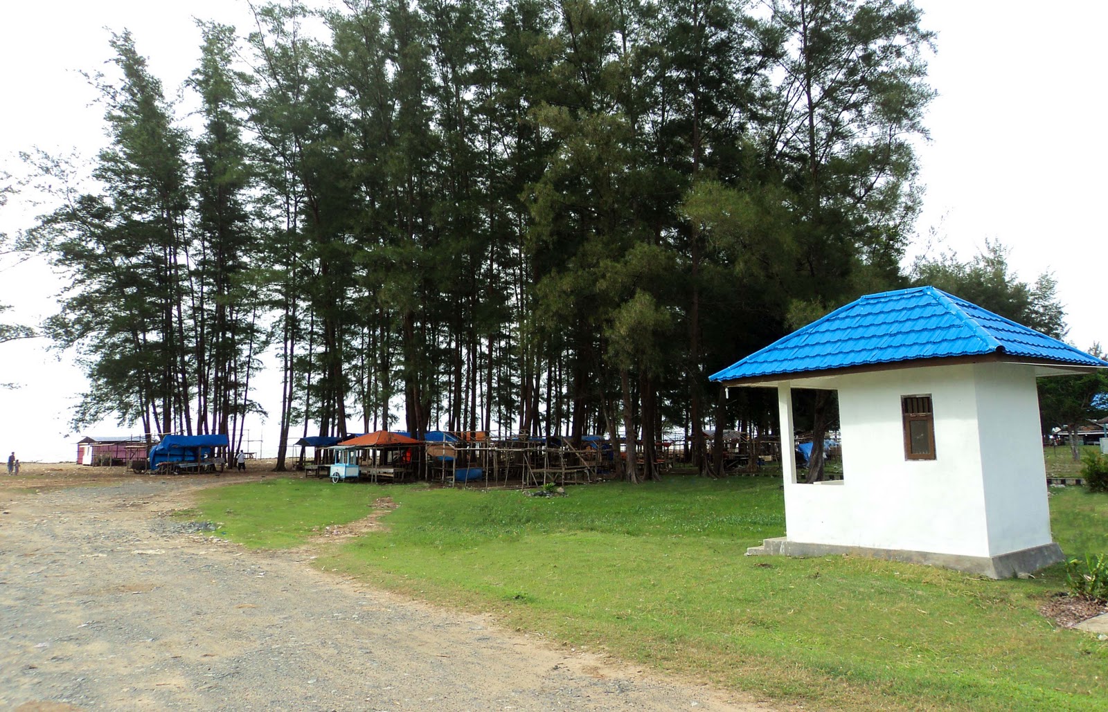 My Incredible Journey | mynamerieska