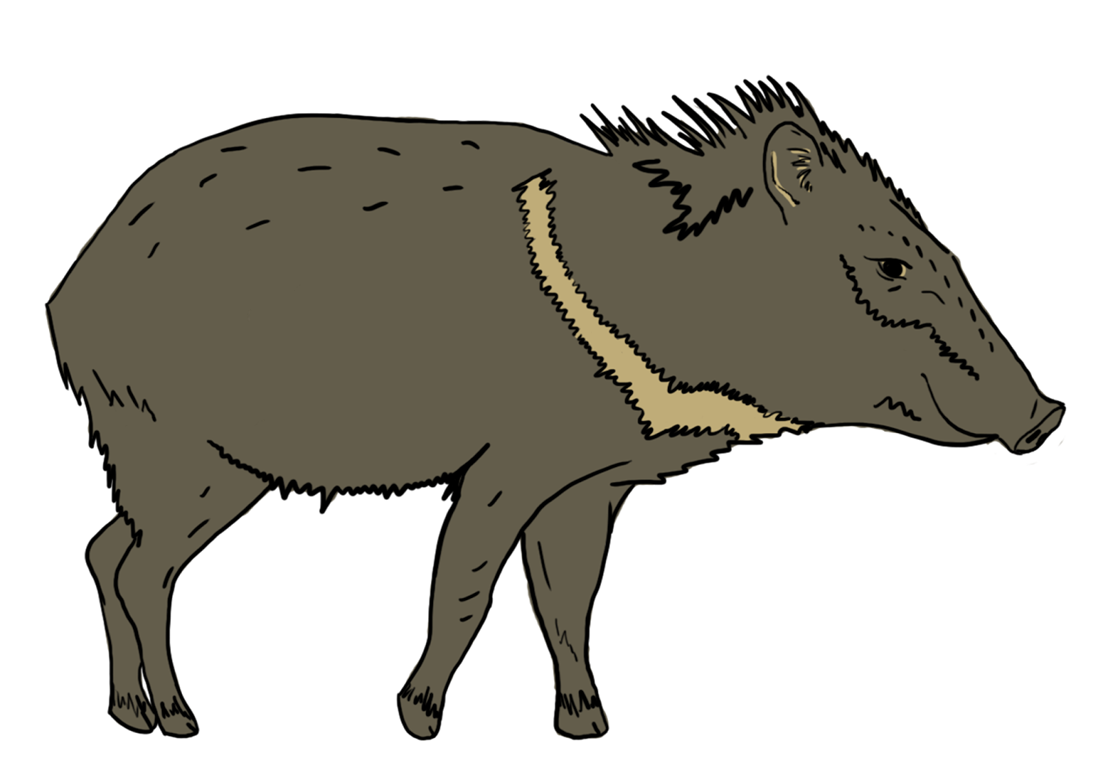 Bioluminescence: enero 2016