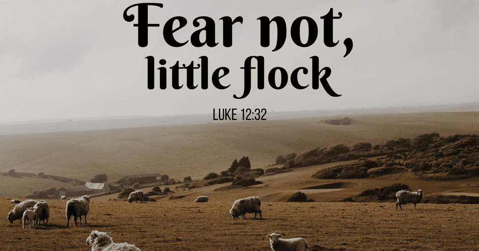 Blessed By The Lord: March 14, 2020 - HAVE NO FEAR