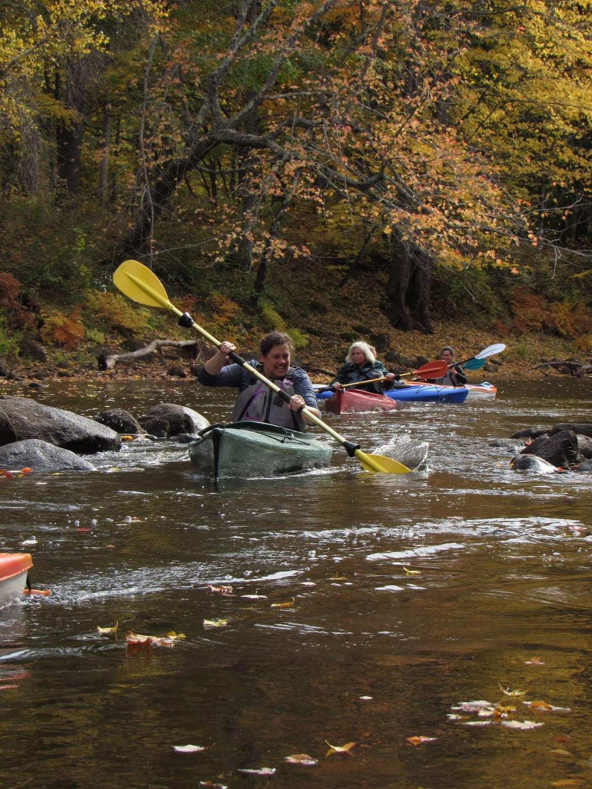 Recreational Kayaking in Maine