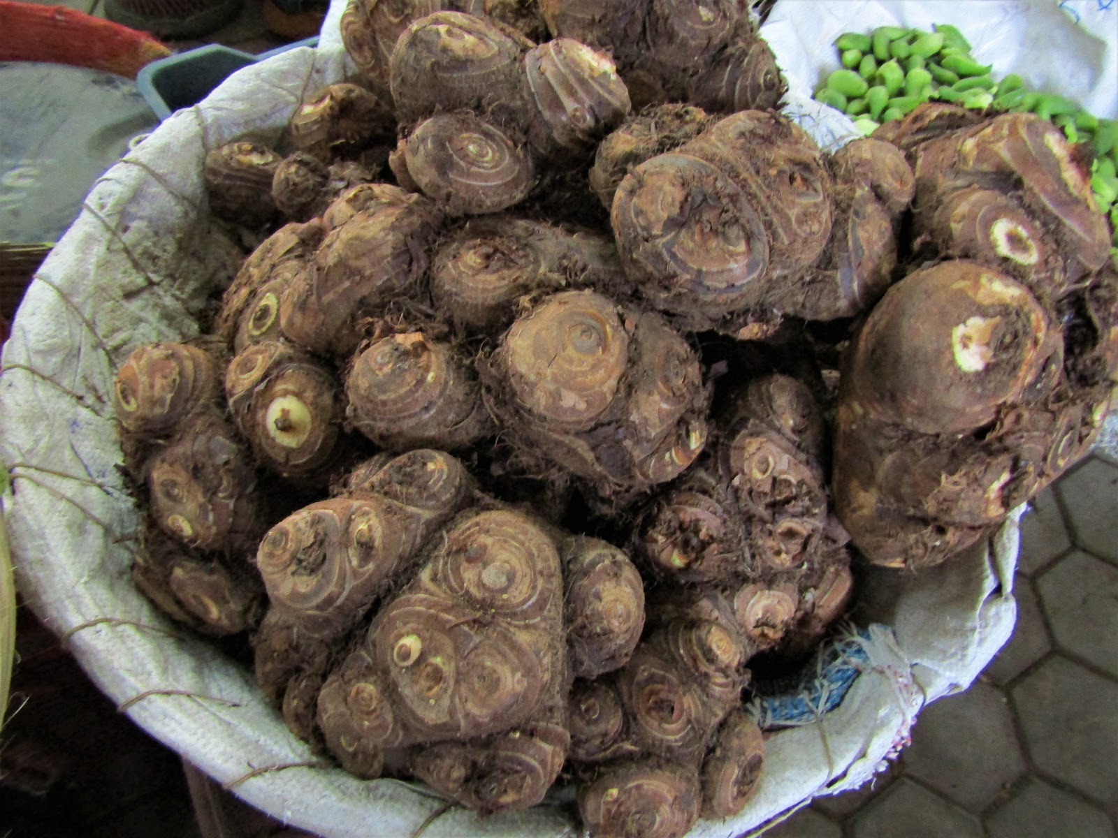 Nepalo2076: Le Rungis de Katmandou / Katmandua « Rungis