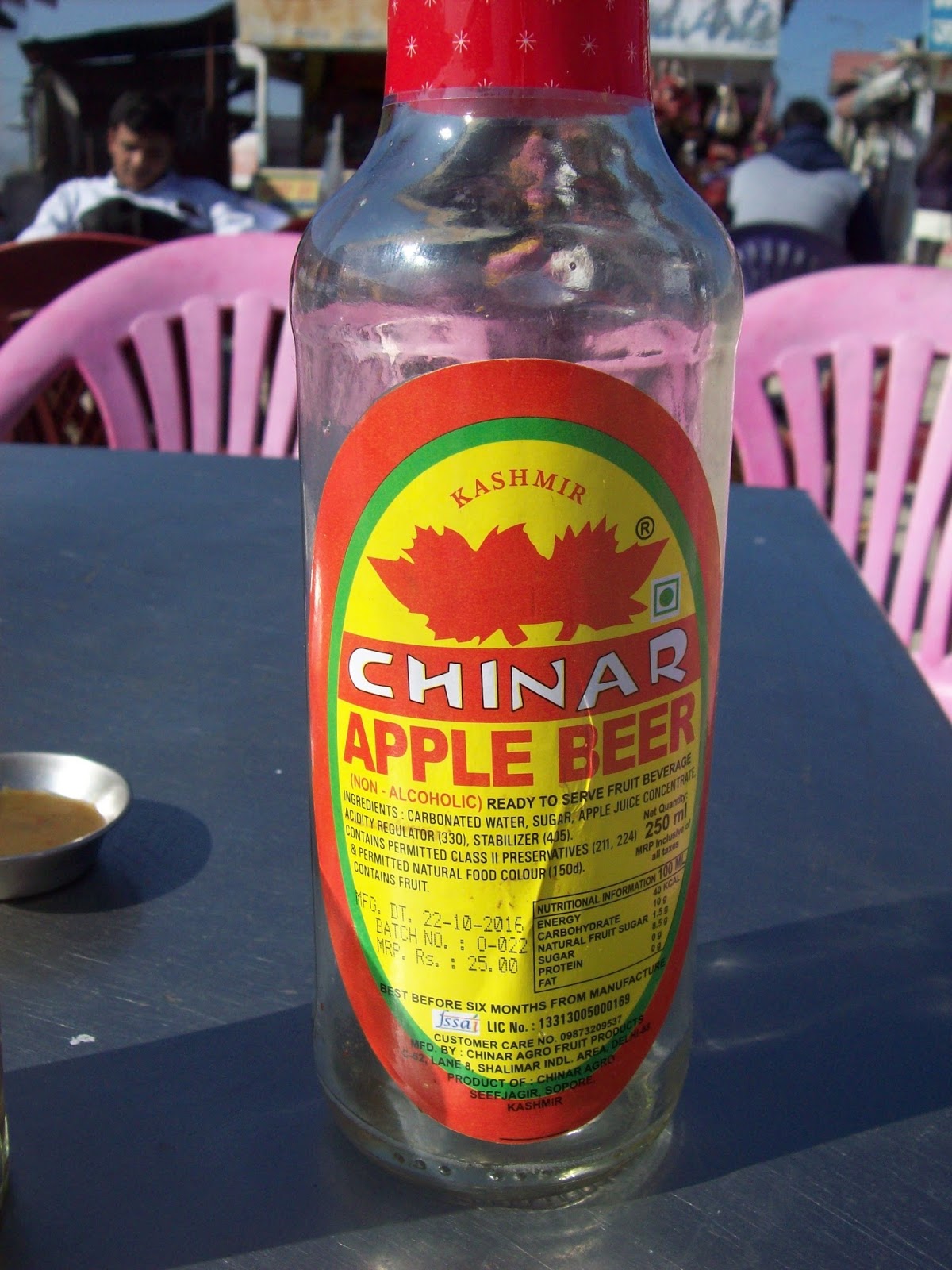 CHINAR SHADE : PHOTOGRAPHS OF A RECENT VISIT TO MUSSOORIE AND DHANAULTI ...