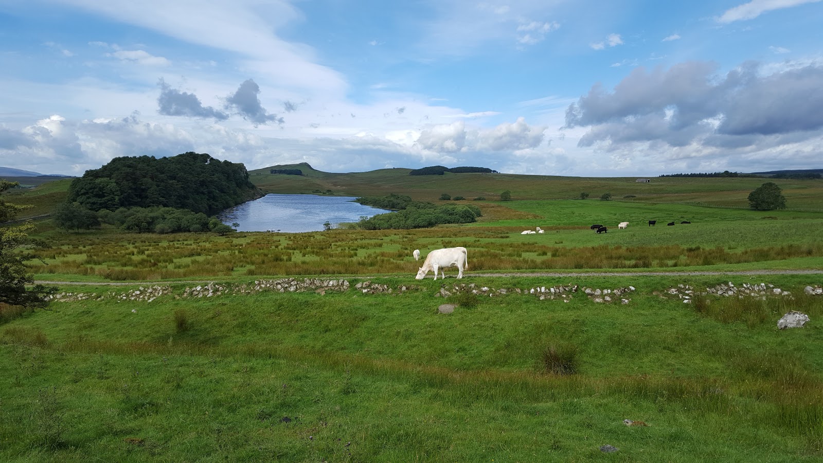 Neil's Hillwalking Exploits: Humping and Tumping along Hadrian's Wall