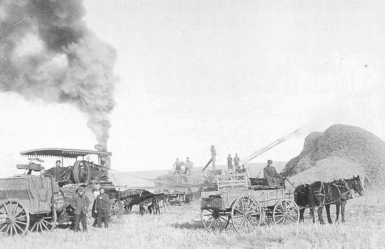 Progress is fine, but it's gone on for too long.: Steam Threshing