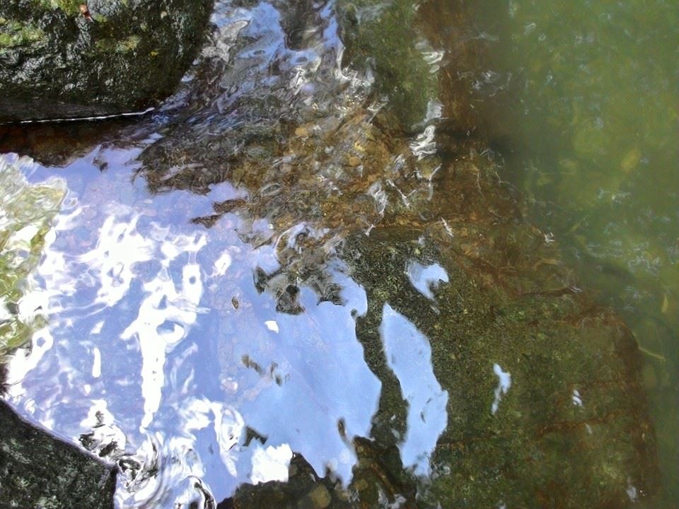 Prettythrifty: Pinlak Falls at Infanta Quezon