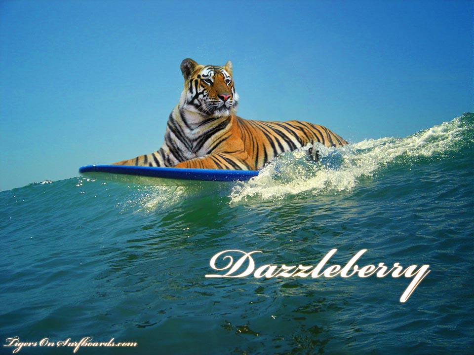 Aquatic Apes: Tigers on Surfboards