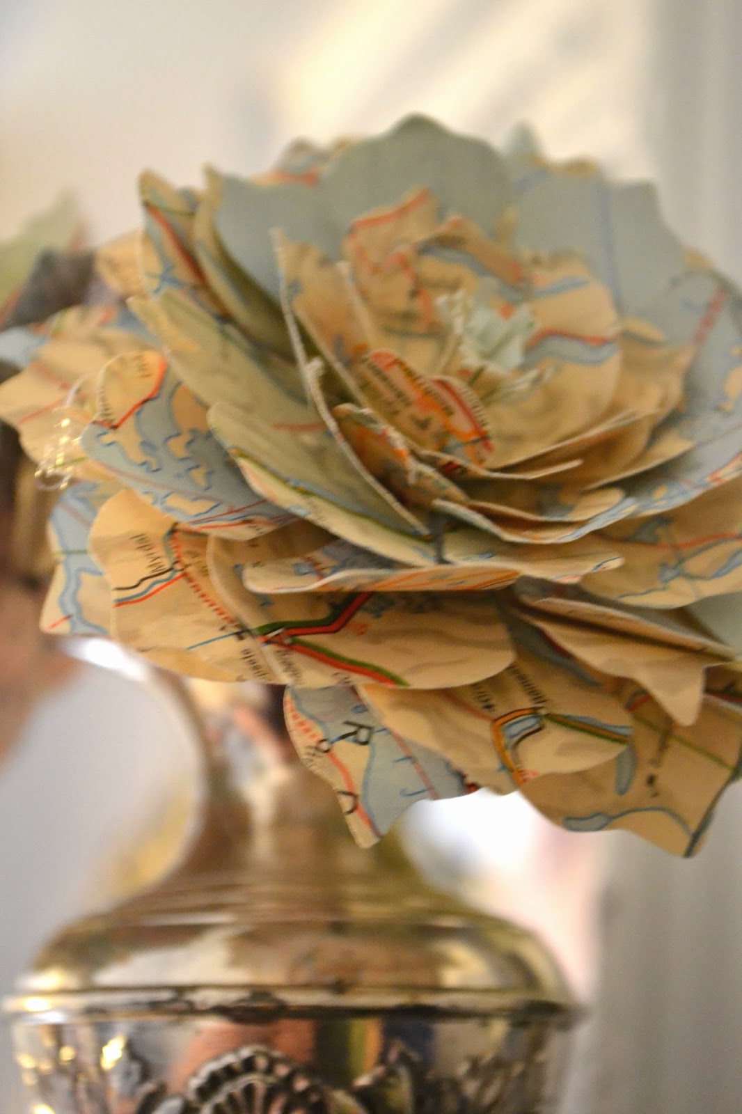 Our House in the Middle of Our Street: Atlas Roses