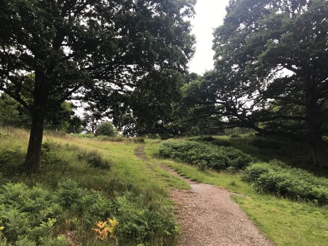 Lakes Single Mum: A walk from Wray Castle along Windermere
