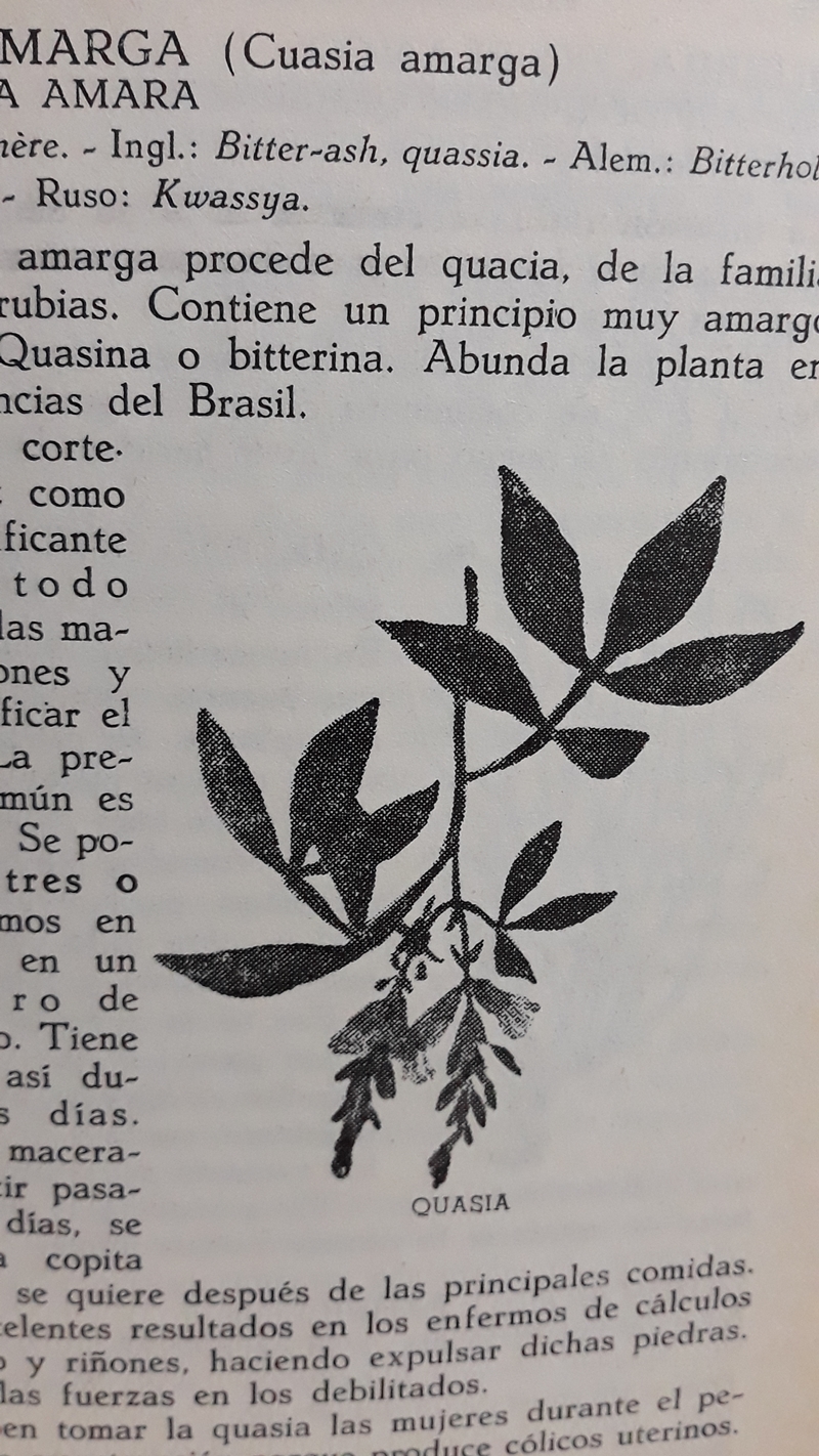 PLANTAS MEDICINALES A TU SALUD