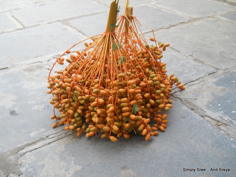 Get Much Information: Fruits - 1