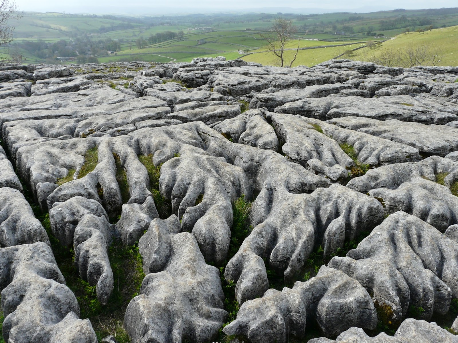 Jimski's Blog: Malham Limestone
