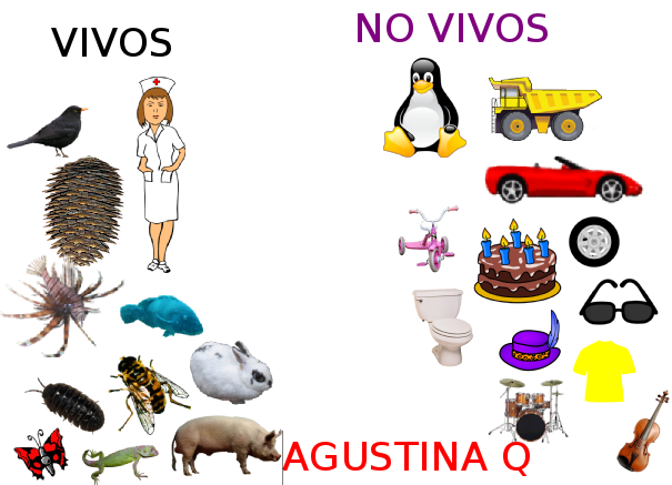 Salas informatizadas: SERES VIVOS y NO VIVOS - sala 5