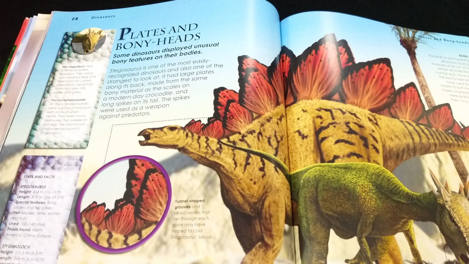 Kid Books Blog: 104.Primary Explorers Dinosaurs / Atlas