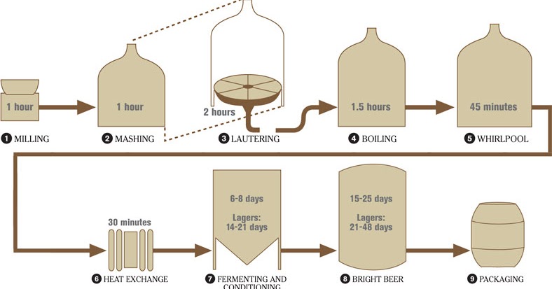 Beer Making Basics | Food Beverage