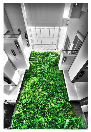 DAB510 Arch. Design 5: bio filter 'living wall'