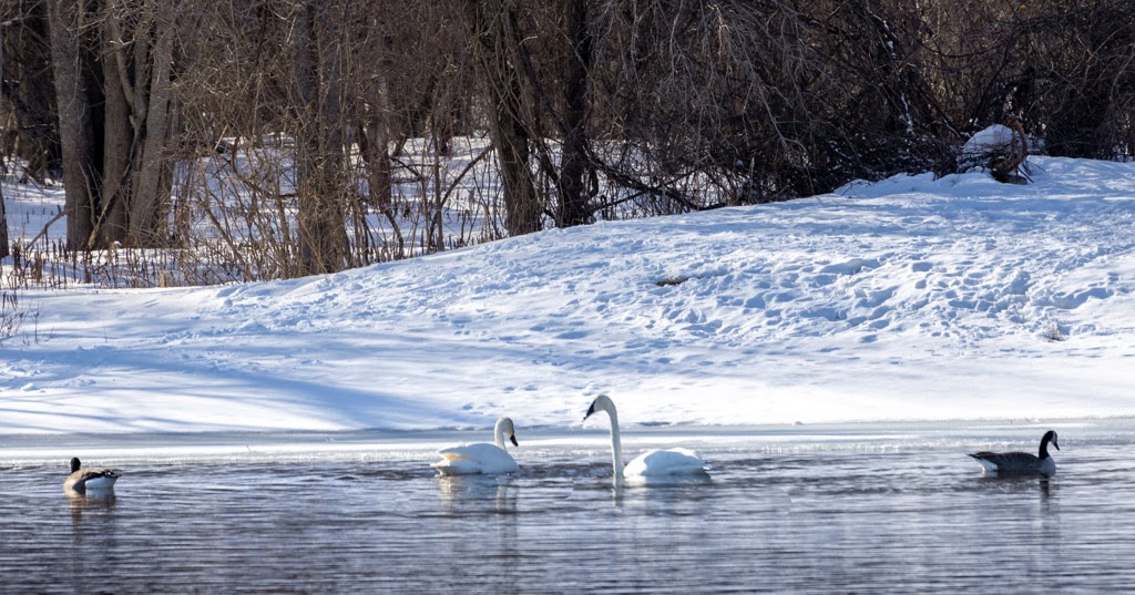 The AC is On: Swany River